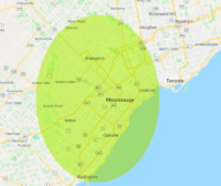 Tree Service Mississauga | Arborist & Tree Surgeon